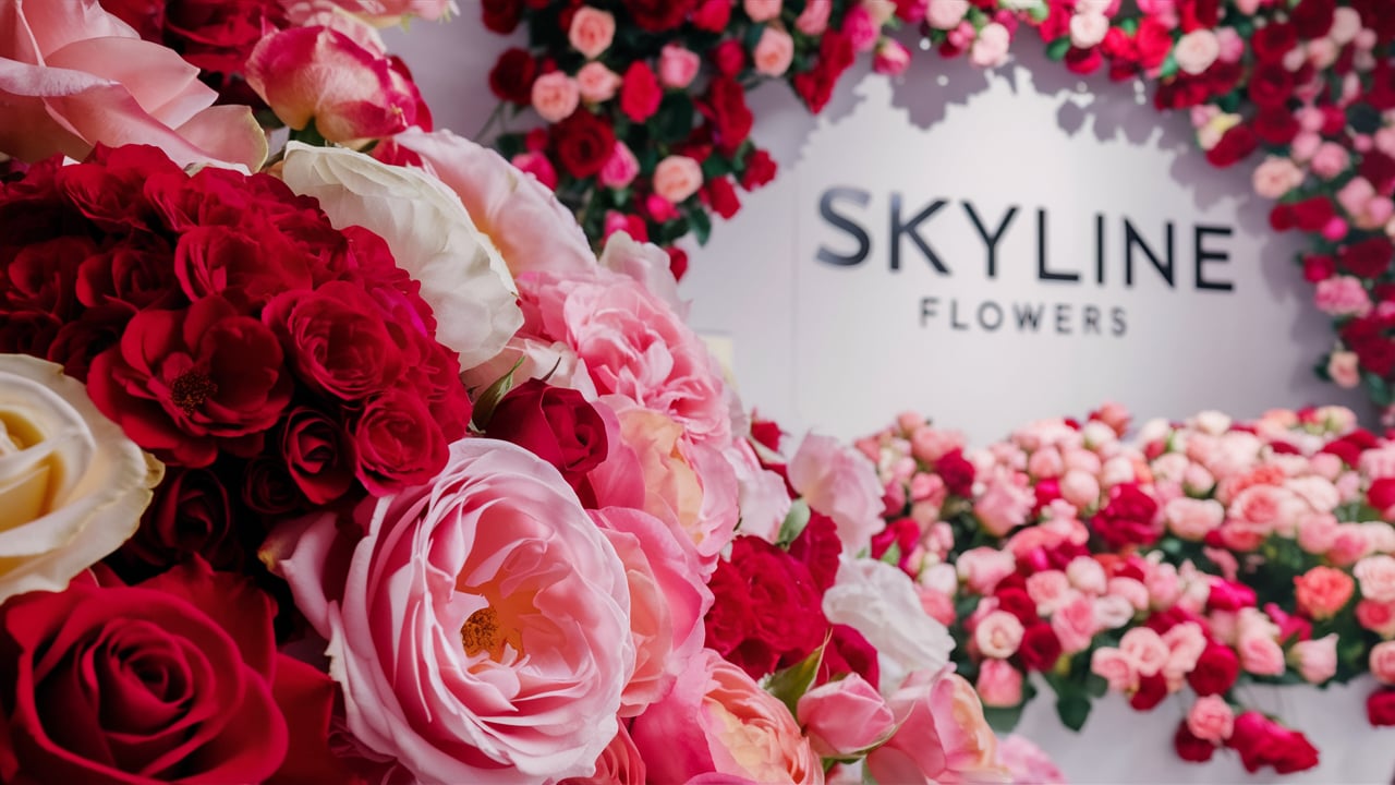 Hamilton Florist – Fresh Flowers & Free Same Day Delivery